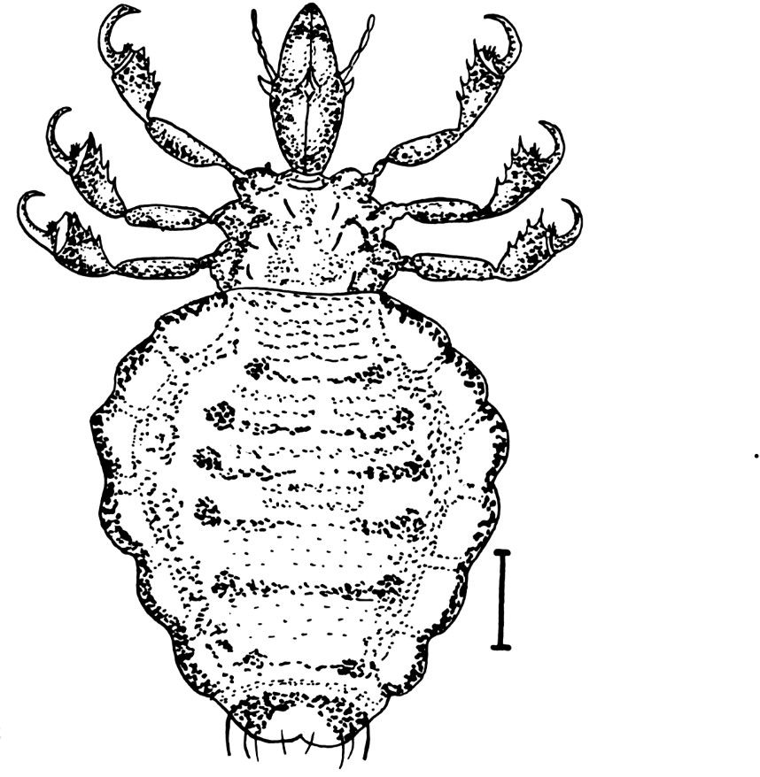 Blog and Tips – Perfect English NYC